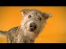 Pedigree Commercial - Mud - YouTube