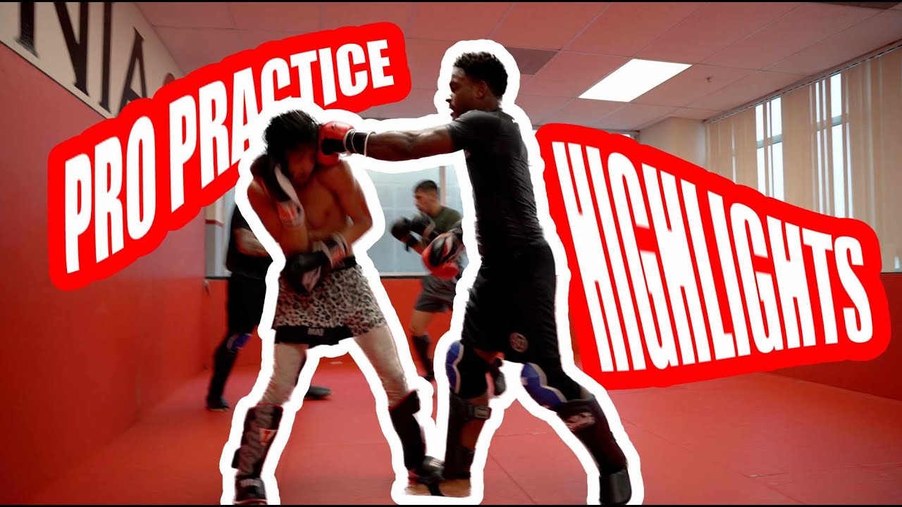 Watch the pros spar (ufc mma bellator) Pro practice Highlights - YouTube