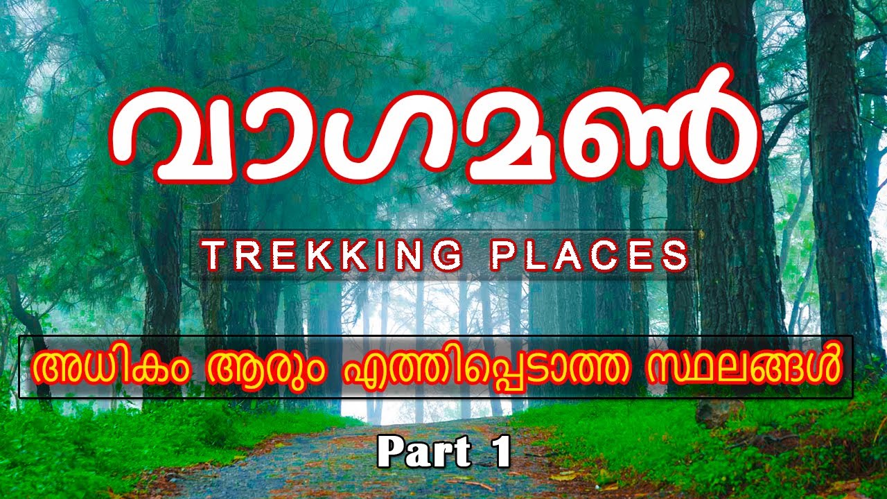 Vagamon | Trekking | Jeep safari Part 1 - YouTube