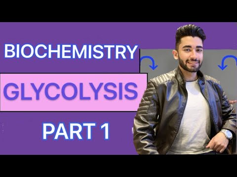Gycolysis Part 1 | Dr Amr Abdallah - YouTube