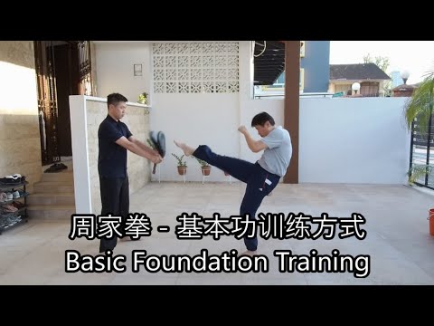 周家拳 - 基本功训练方式 / Zhou Jia Quan / Jow Gar Quan / Chow Gar Kuen / Basic Foundation Training. - YouTube