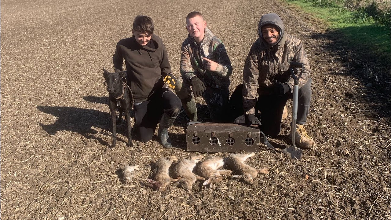 Still young rabbits around in October 😩 - YouTube