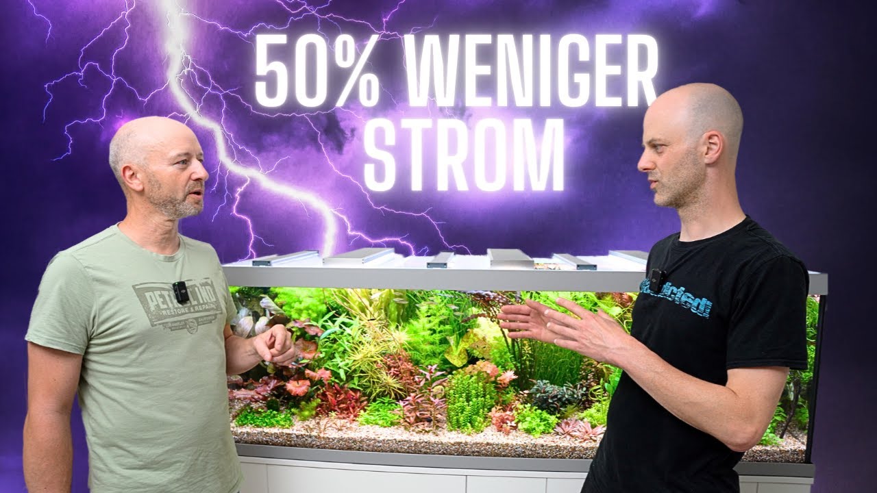 Stromverbrauch Aquarium Rechner