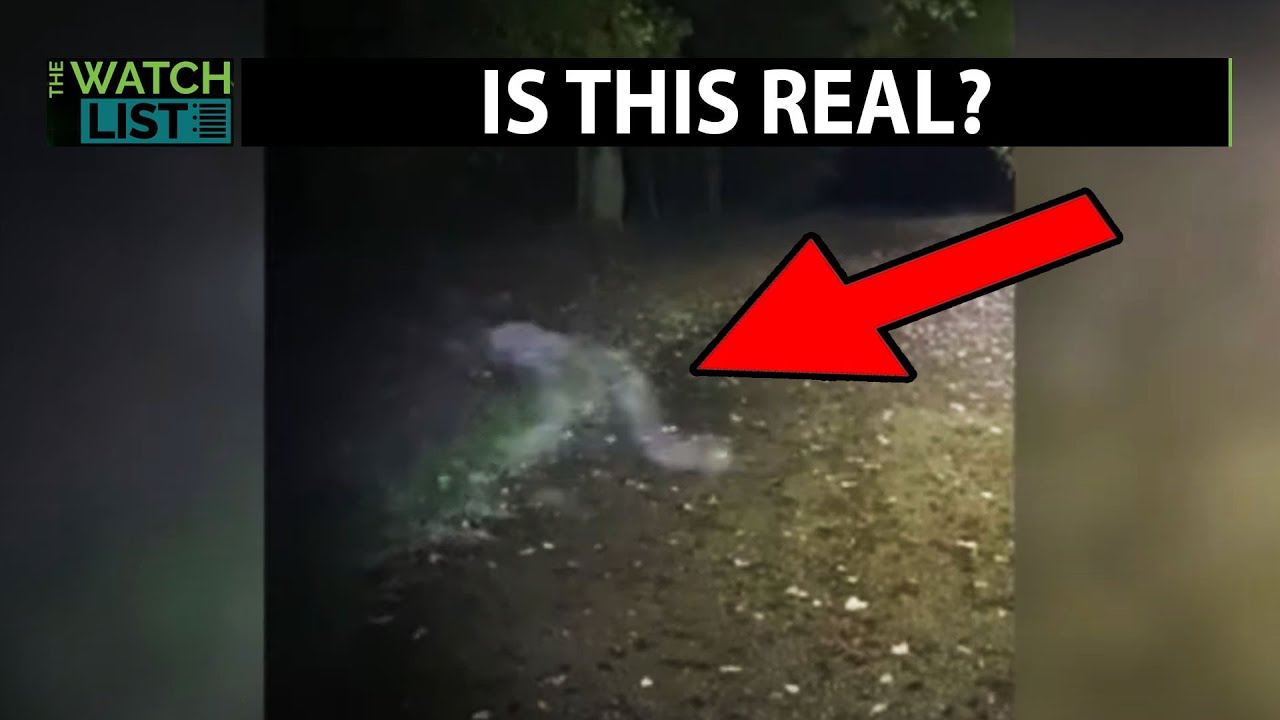 Real Ghost Captured On Camera During Dog Walk? - YouTube