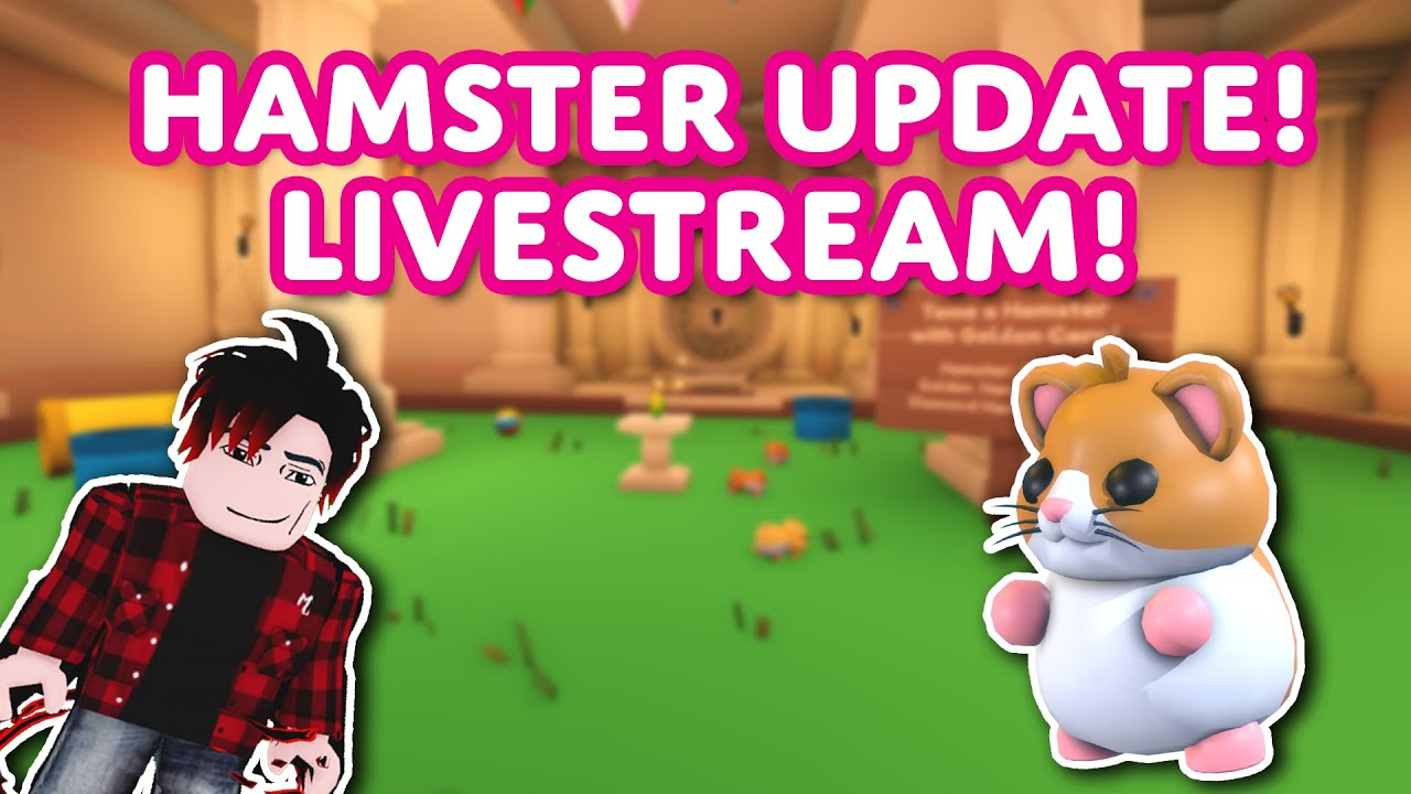 🐹 Catching HAMSTERS 👑 Showing Off The New DISPLAY STANDS! 🌋Adopt Me ...