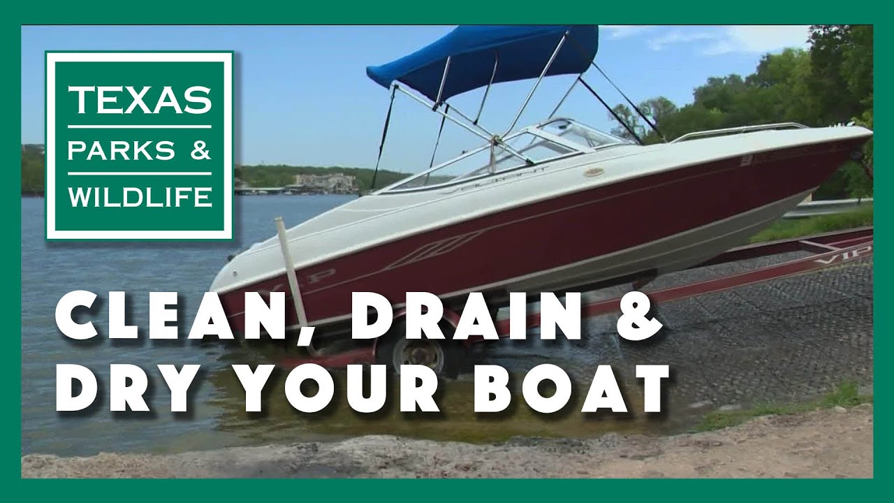 TPWD: Zebra mussels confirmed in Marble Falls, Lake Granger
