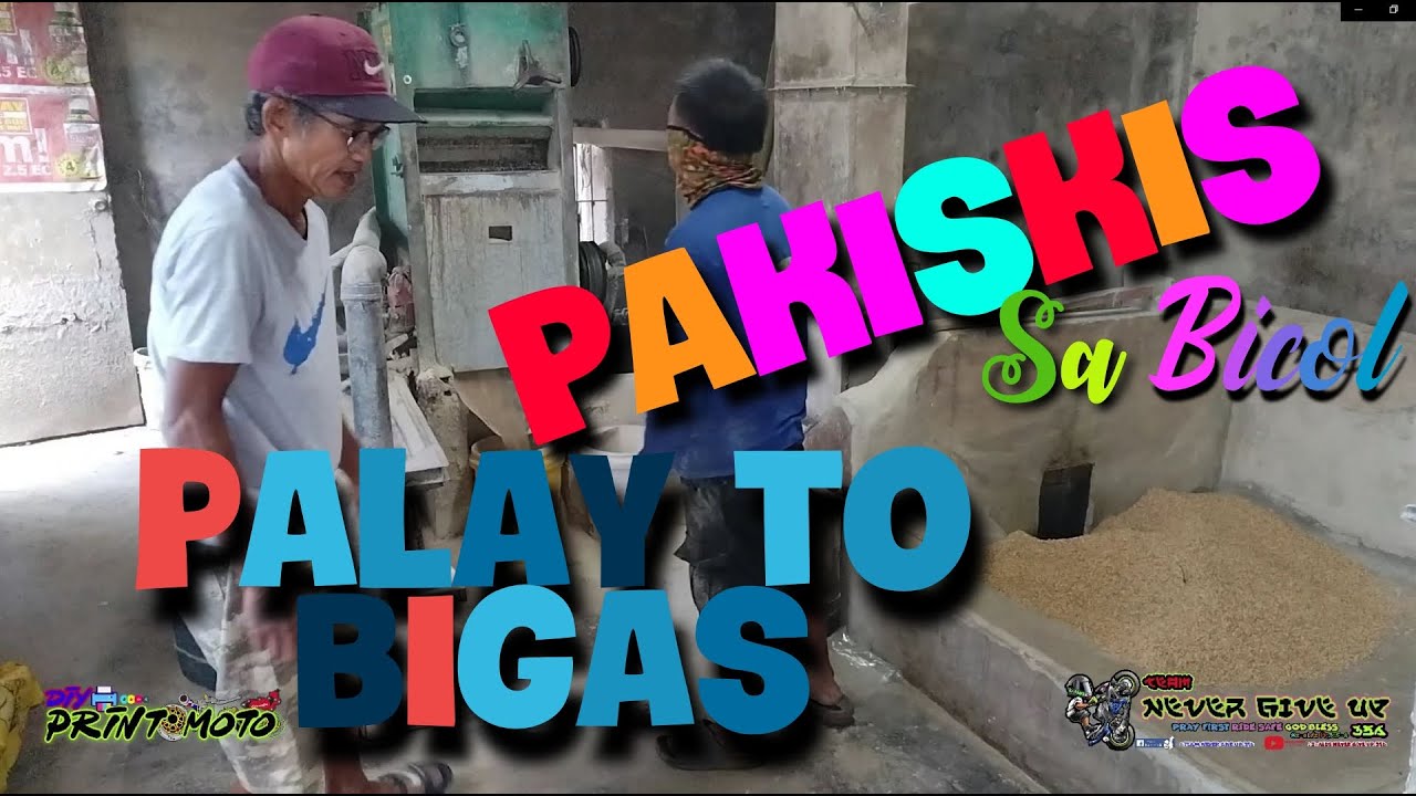 PAKISKIS | PALAY TO BIGAS | 31 MAY BIGAS KANA - YouTube