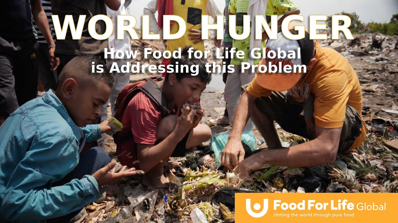 World Hunger and What Food for Life Global is doing about it - YouTube