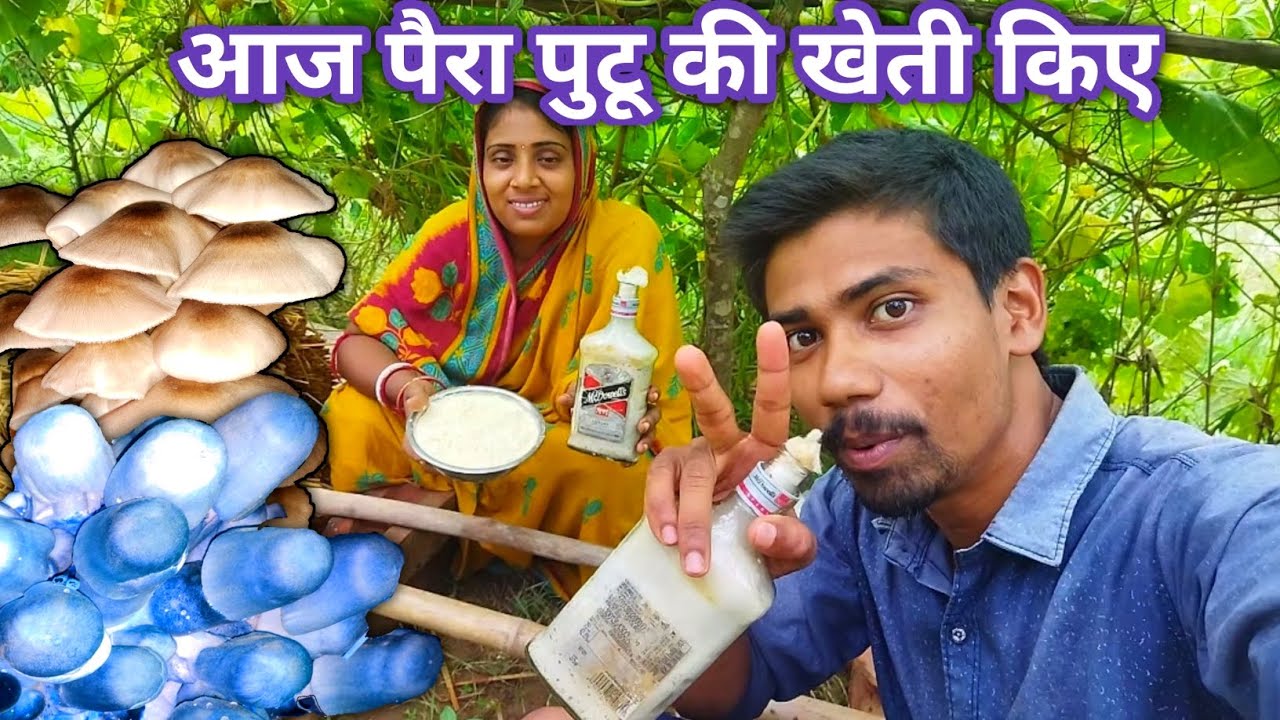 #villagelife गांव में पैरा मशरूम कैसे उगाए? | How To Grow Paira ...