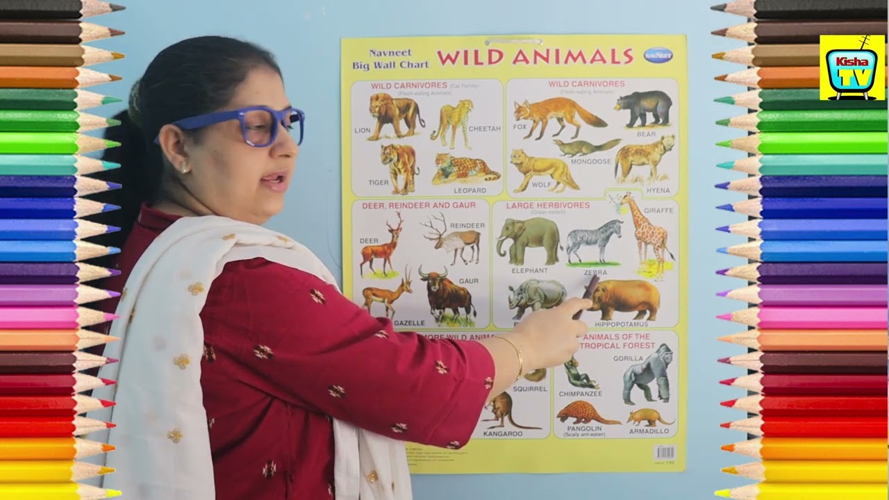 Nepalifairytales BedtimeStories NepaliStoryWILD ANIMALS Learn Wild nepalifairytales-bedtimestories-nepalistorywild-animals-learn-wild