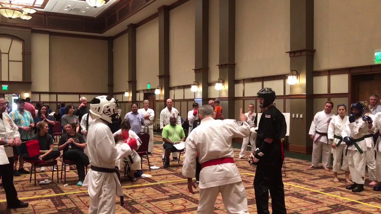 Isshinryu Hall of Fame 2017/Fight #2 - YouTube