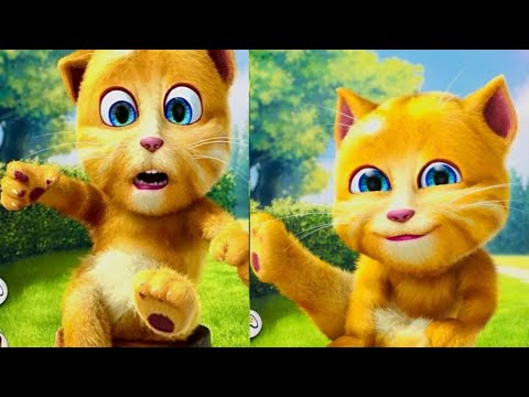 Taking ginger cat new video funny tom,2. Episode 5 2023 🍉🍈🍇🍍🥭🍌🥑🌽🍄# ...