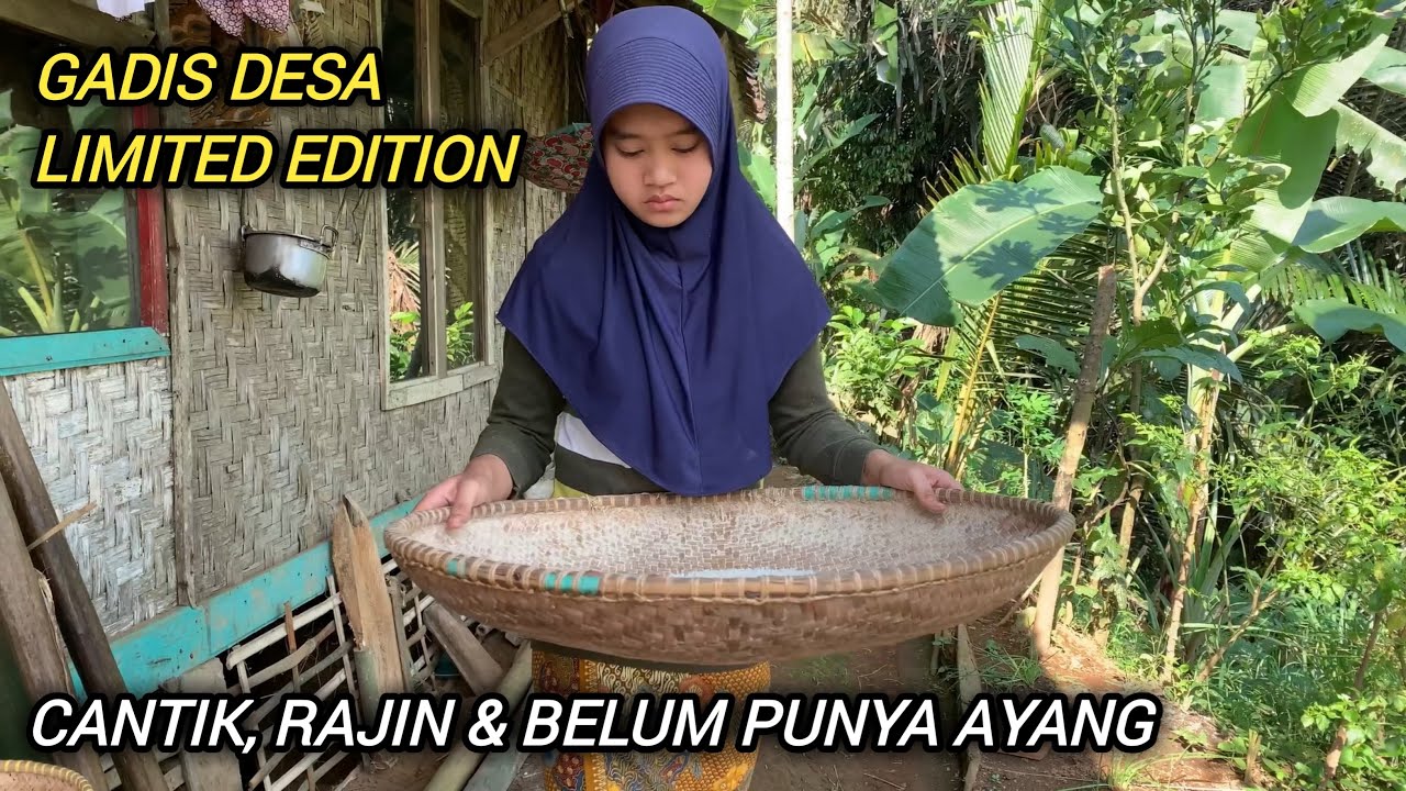 Real! Kebiasaan Gadis Kampung Cibarengkok Membantu Nenek Menumbuk Padi ...
