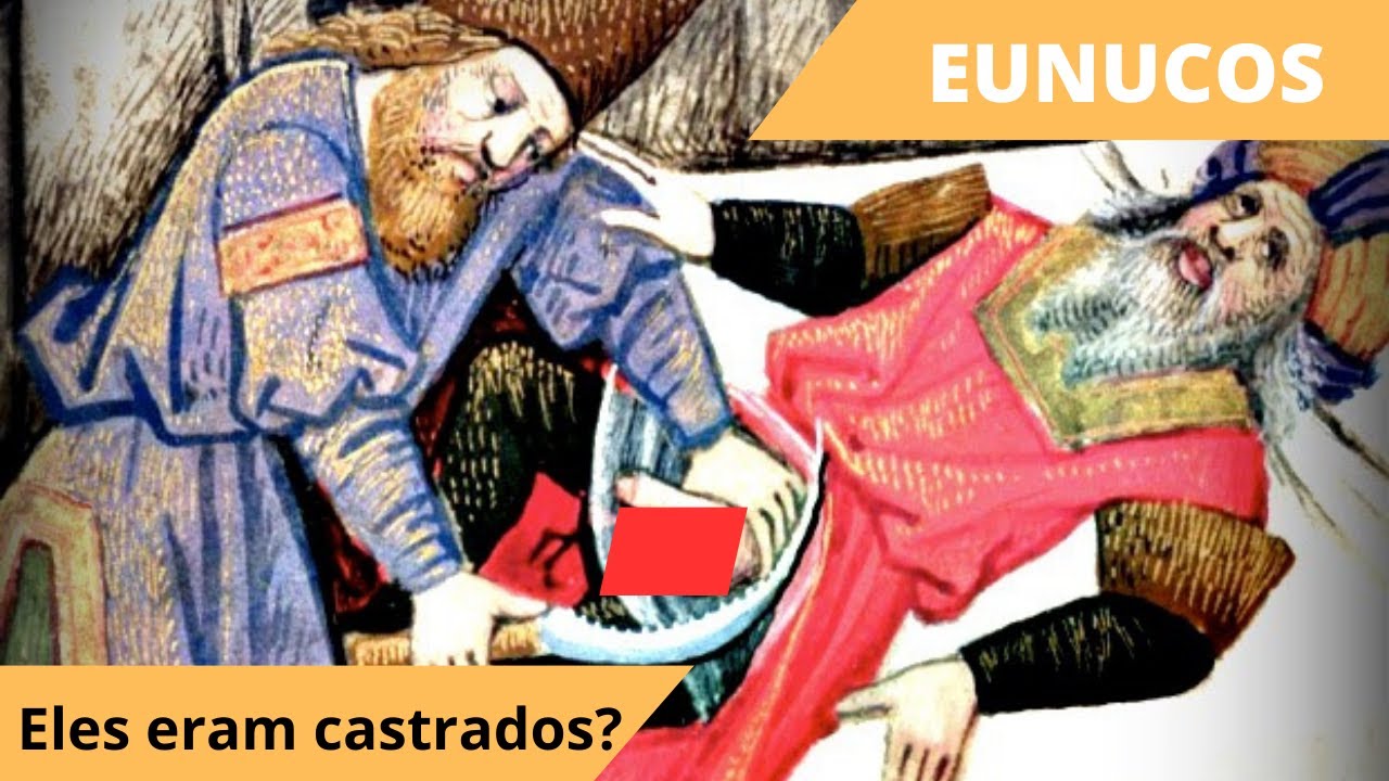 Estrutura Corporal Dos Eunucos Atividades De Aprendizagem