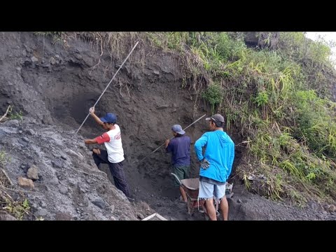 The struggle to get sand where the cliffs still have lots of plants ...