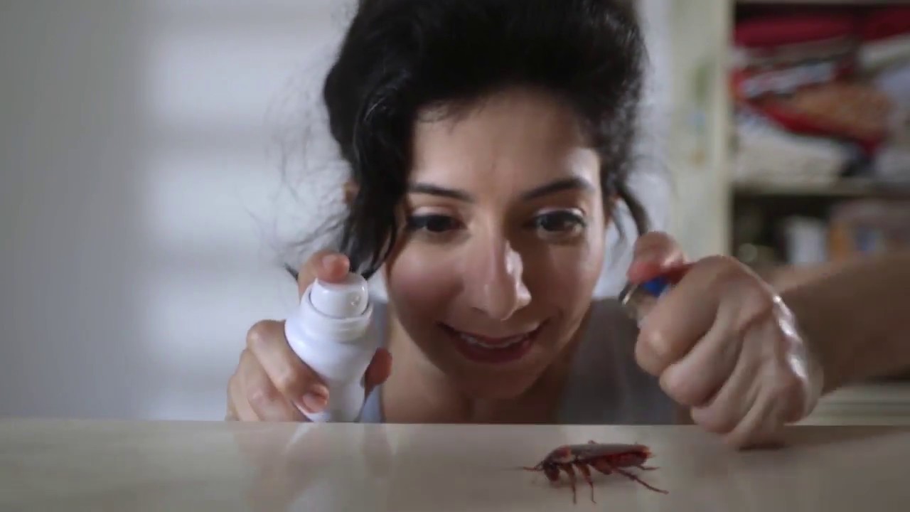 Bug Burn The PestGuard Company - YouTube