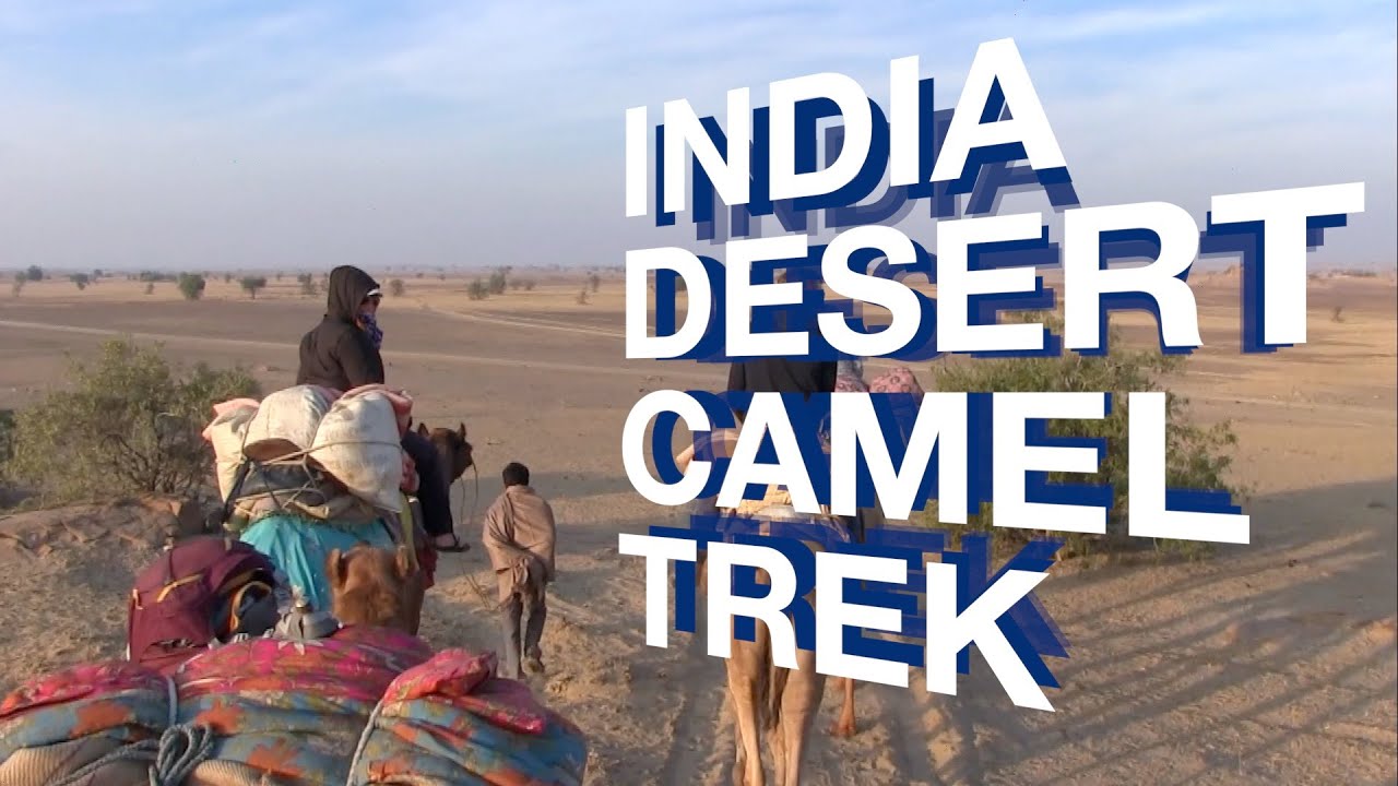What to expect Camel Trekking in India - YouTube