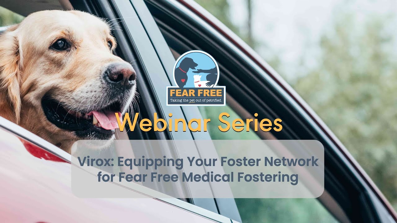 Virox: Equipping Your Foster Network for Fear Free Medical Fostering ...