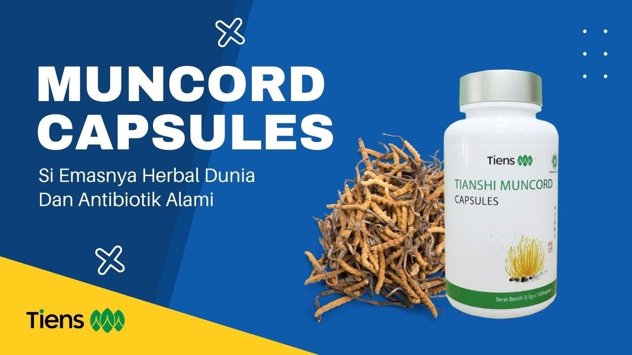 Muncord Capsules Tiens Tianshi Indonesia | Cordyceps | Emasnya Herbal ...