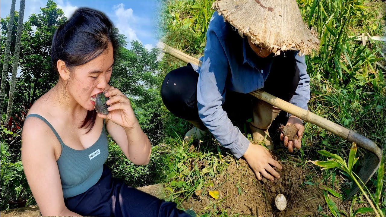 The girl dug up a mutant potato deep underground. - YouTube