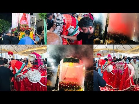برآمدگی ذولجناح اور مہندی شہزادہ قاسم ع chk 331 athwaal 8 muharam 2025 ...