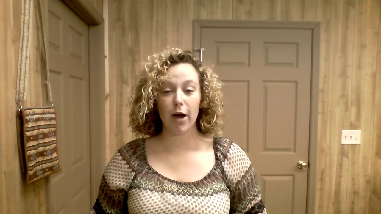 Stephanie Wooten Persuasive Speech SU1617 - YouTube
