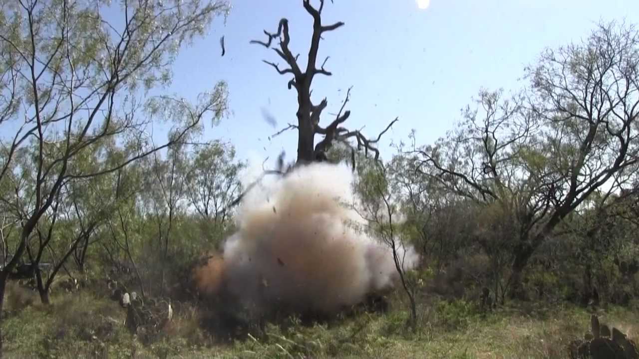 Tannerite vs. Tree - YouTube