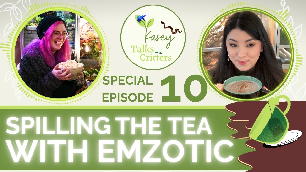 SPILLING THE TEA with Emzotic and Kasey of Zen Habitats | Kasey Talks ...