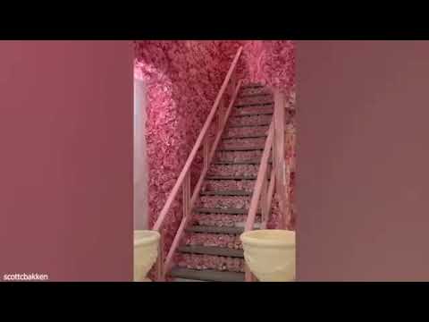 SATISFYING VIDEO COMPILATIONS|ASMR SLEEP|ODDLY SATISFYING|RELAXING VIDEOS|#asmr #satisfying PART 3