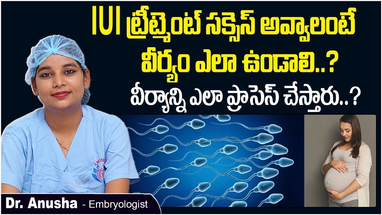 IUI కోసం వీర్యాన్ని ఎలా ప్రాసెస్ చేస్తారు? || Sperm Preparation for IUI in Telugu || Anusri ...