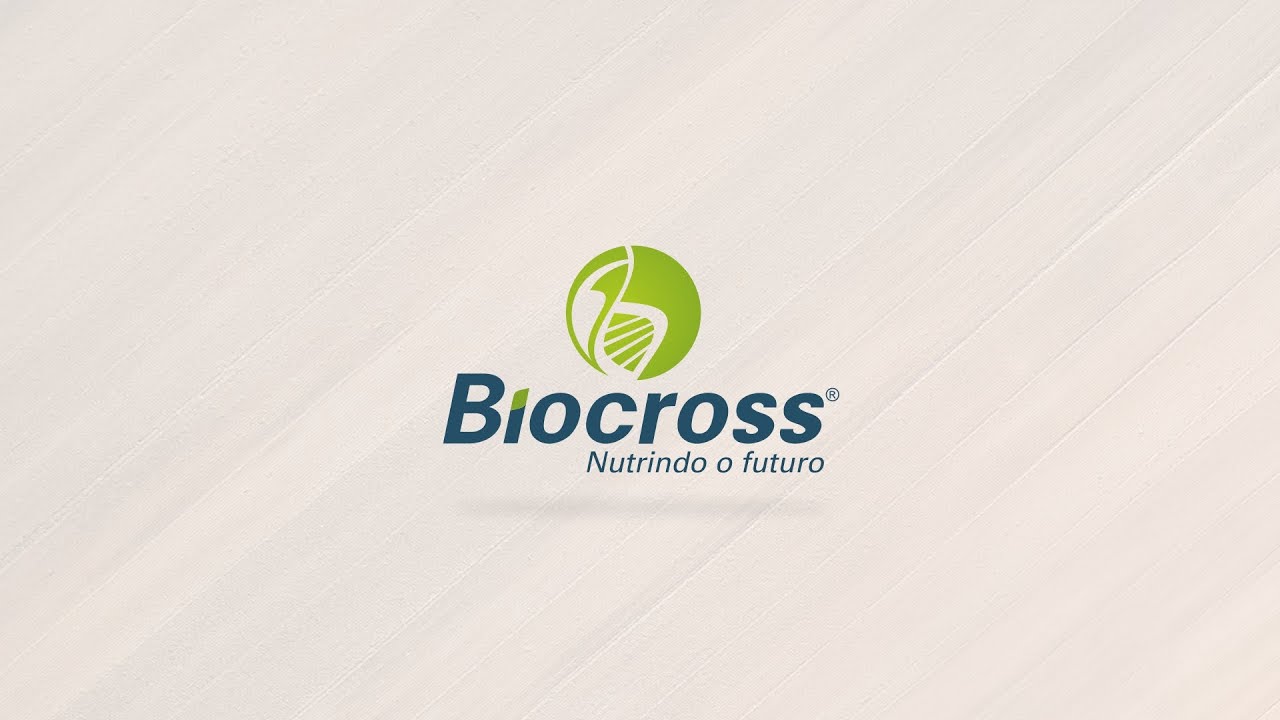 Vídeo Institucional - Biocross do Brasil (2019) - YouTube