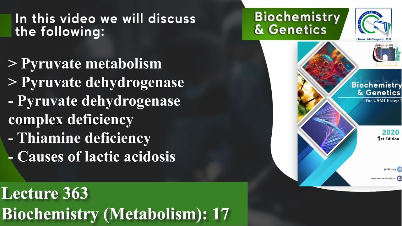 Pyruvate metabolism | Pyruvate dehydrogenase complex deficiency ...