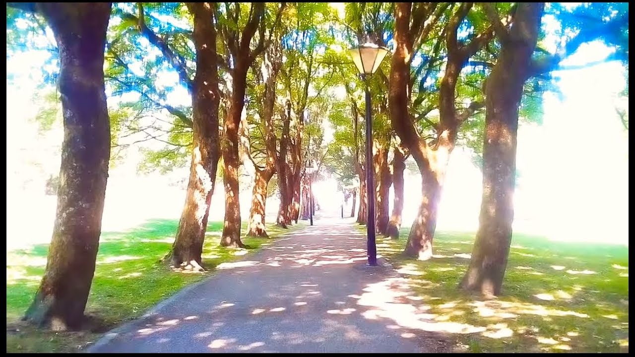Sunshine (3) | Buxton Bloom, Summer, England 2018 | Filmed + Edited by ...