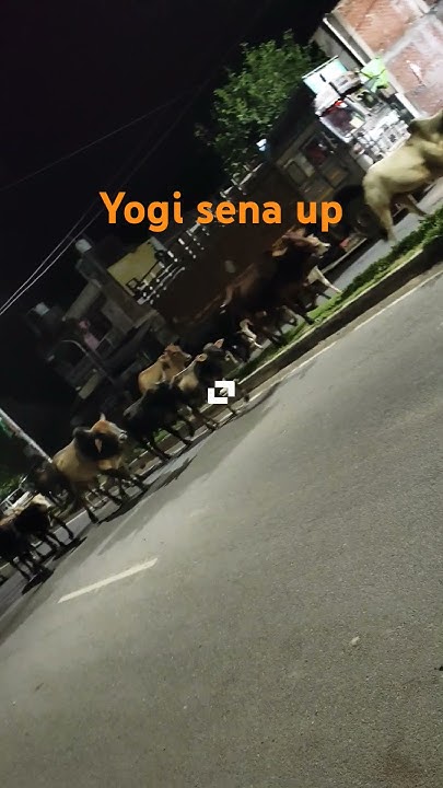 14 August 2024 - YouTube