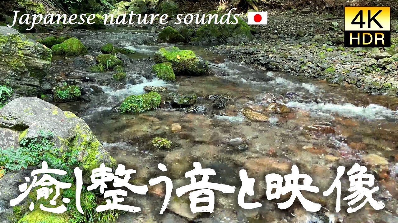 【日本の自然音】Japanese nature sounds 川のせせらぎ - YouTube