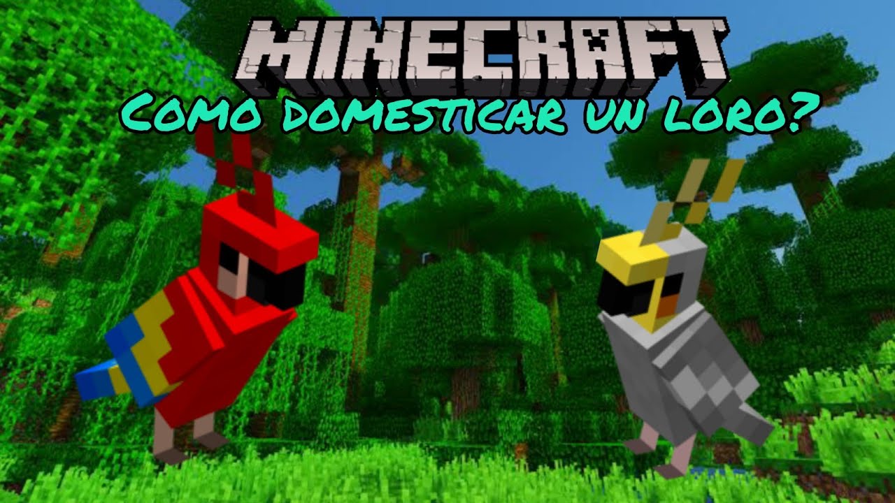 Como domesticar un loro en Minecraft! - YouTube