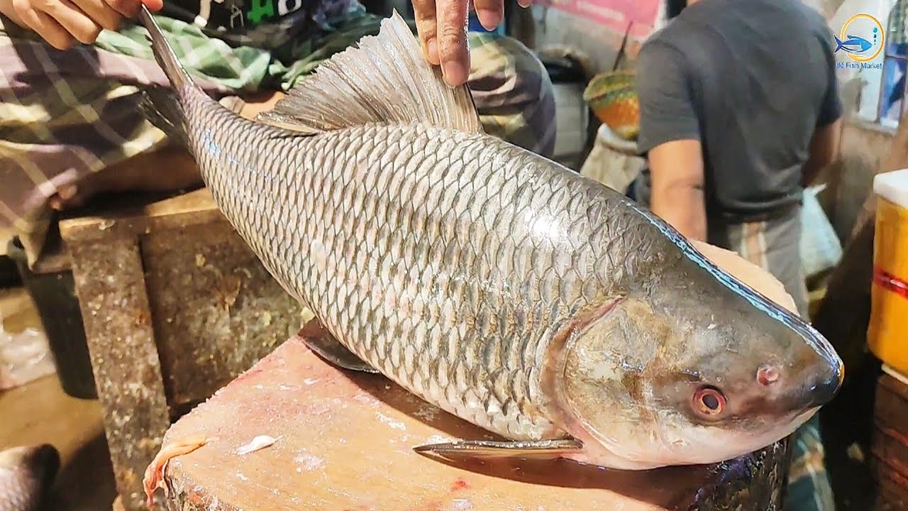 Great Big Rohu Fish cutting skills in chottogram 2023 Bd Fish Market - YouTube
