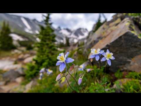 Peace in the Mountains, Beautiful Relaxing Music, Peaceful Soothing Instrumental Music, by Tim Janis