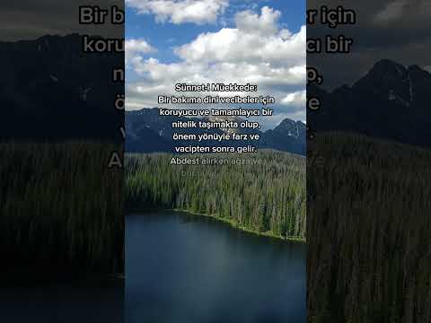 Sünnet Nedir? Dinimizi Öğrenelim | Dini Terimler | İlmihal