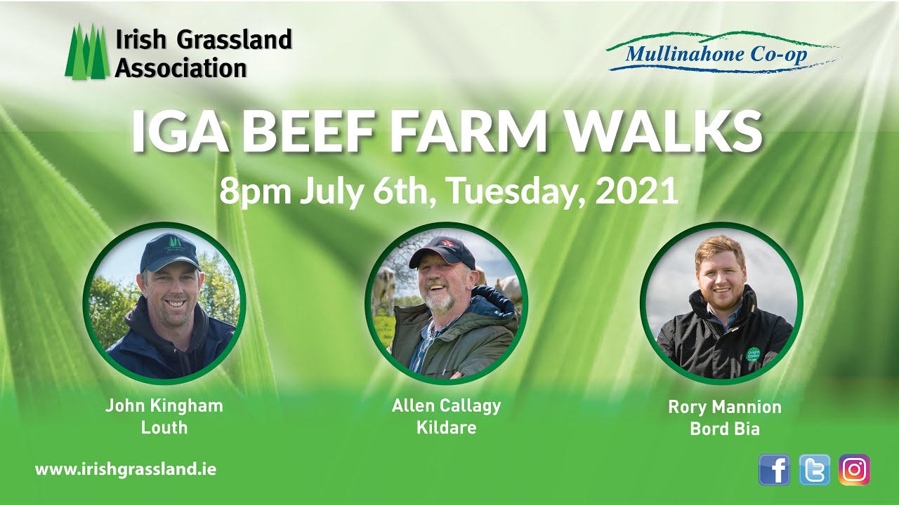 IGA Beef Event 2021 - YouTube