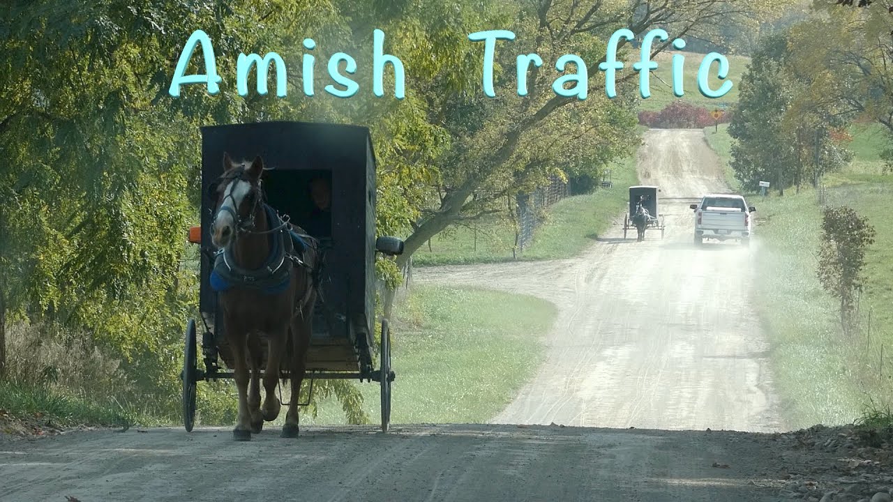 Amish Traffic 👨‍🌾🐴 ( PTXVI ) - YouTube