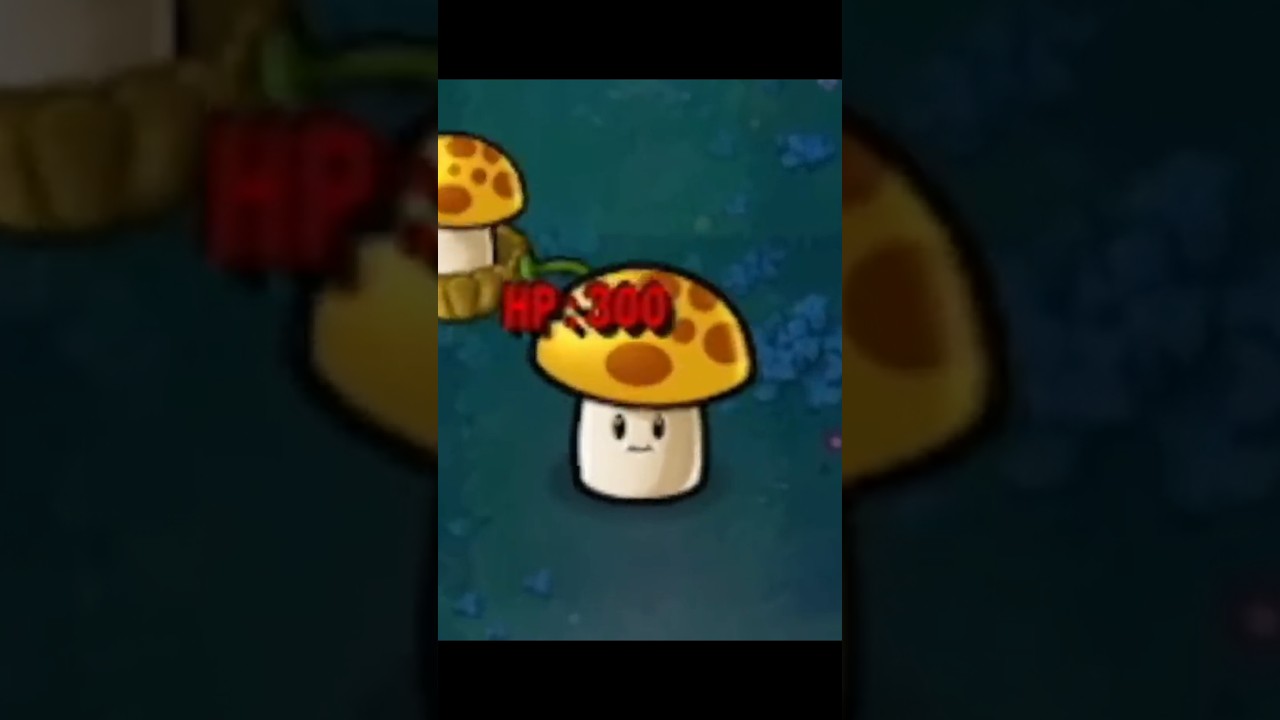 HONGO-PULTA SOLAR 🤑 - YouTube