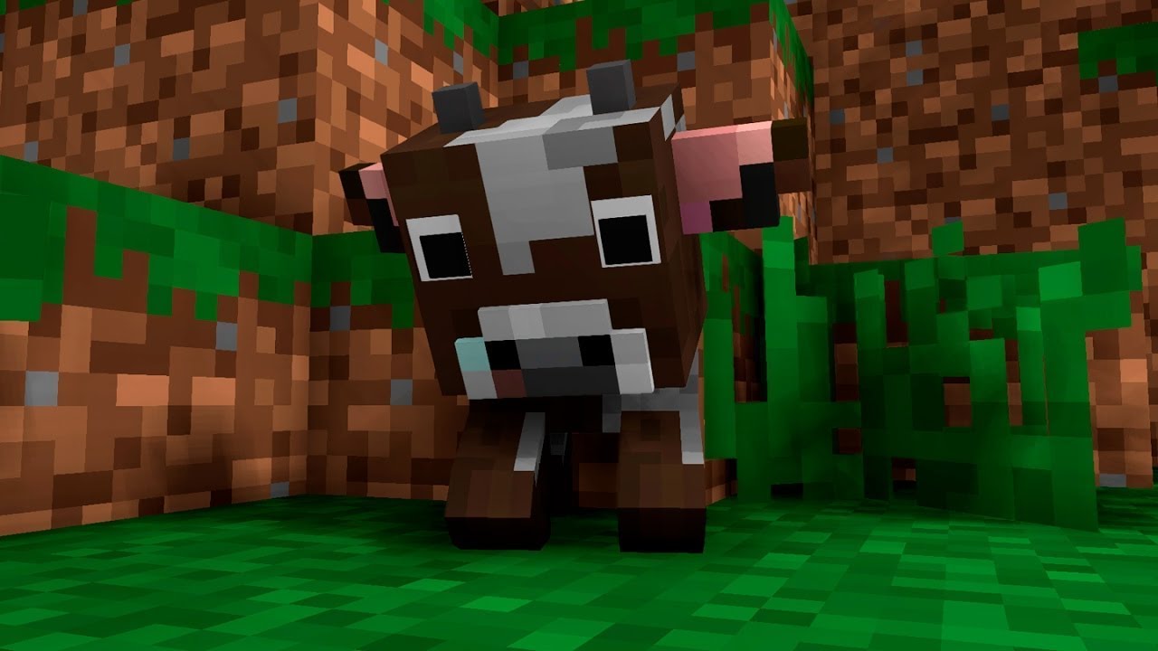 LIFE CALVE | A tragic story in the life of a calf | STEVE SAVES A BABY ...