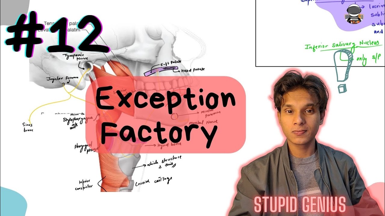 Exception Factory | HNF Lecture 12 | Stupid Genius - YouTube