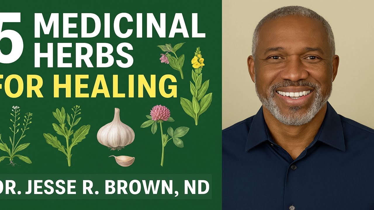 Shepherd's Purse to Red Clover Medicinal Herbs 5 Medicinal herbs - YouTube