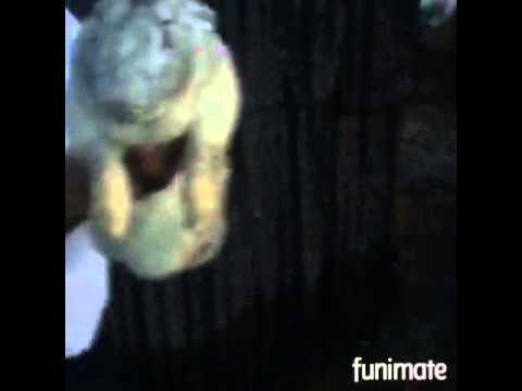 Screaming Rabbit - YouTube