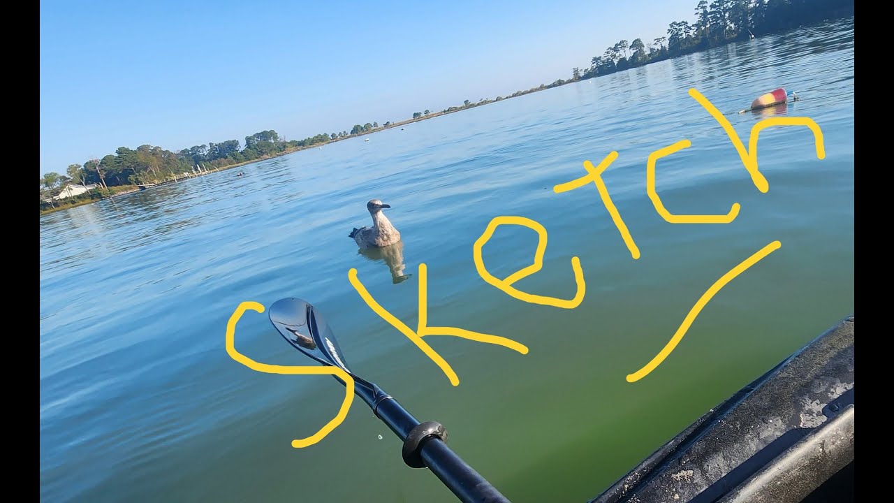 Sketchier Moments in Kayaking this Year - YouTube