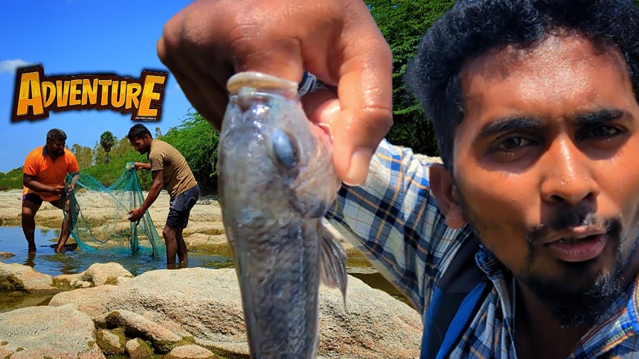 🔥மீன் பிடிக்கலாம் வாங்க | மீன் வறுவல் | FISH CATCHING | FISH CATCHING ...