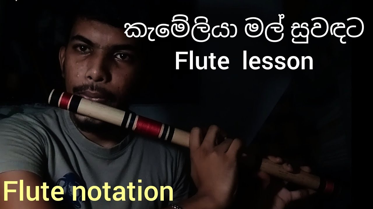 කැමේලියා මල් සුවඳට | Flute lesson | Flute notation | Flute tutorial - YouTube
