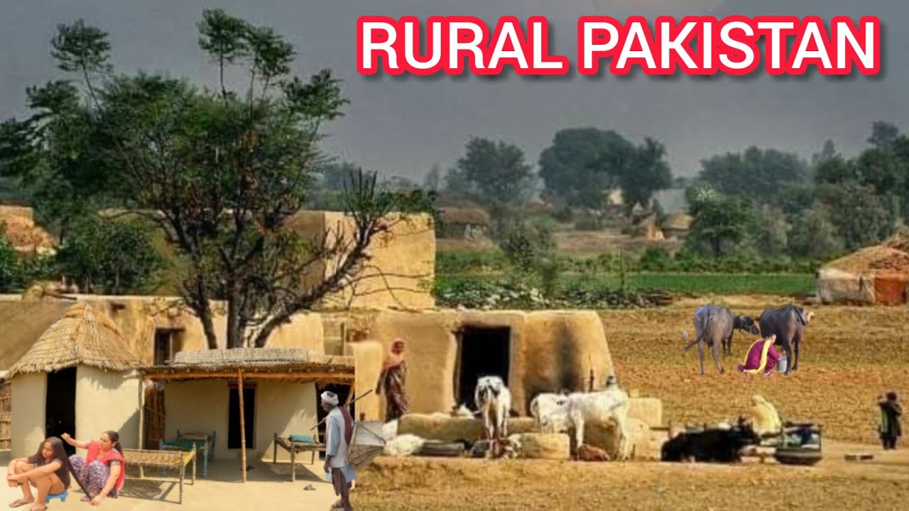 Wonderful Village Life In Pakistan | Impressive Rural Life Punjab ...